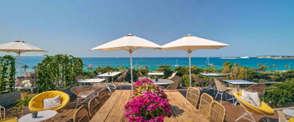 10 Best Rooftop Bars Palma For Sunset Cocktails - Dave In Spain