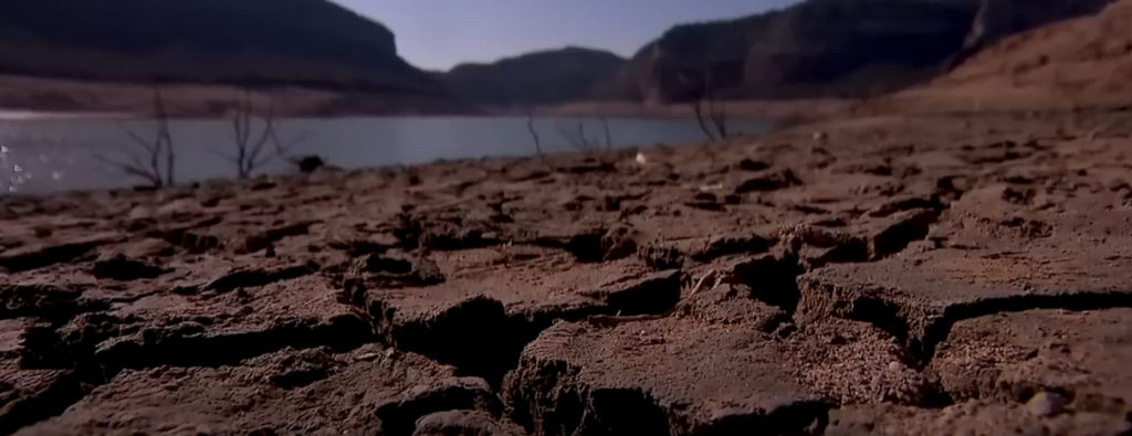 Biting Insects In Spain To Watch Out For - Dave In Spain