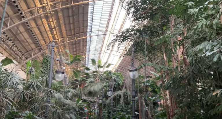 Chamartín or Atocha? Choosing the Right Madrid Station - Dave In Spain
